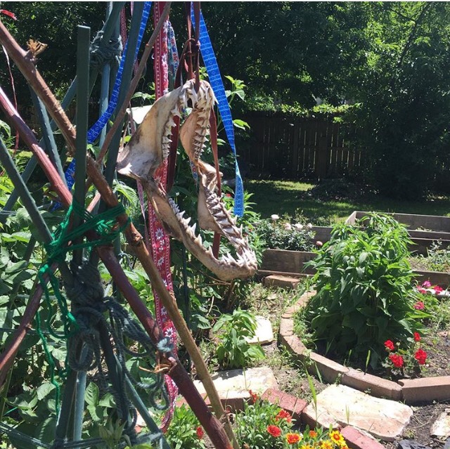 Heather Derr-Smith Reads from “The Book of Delights” by Ross Gay while ...